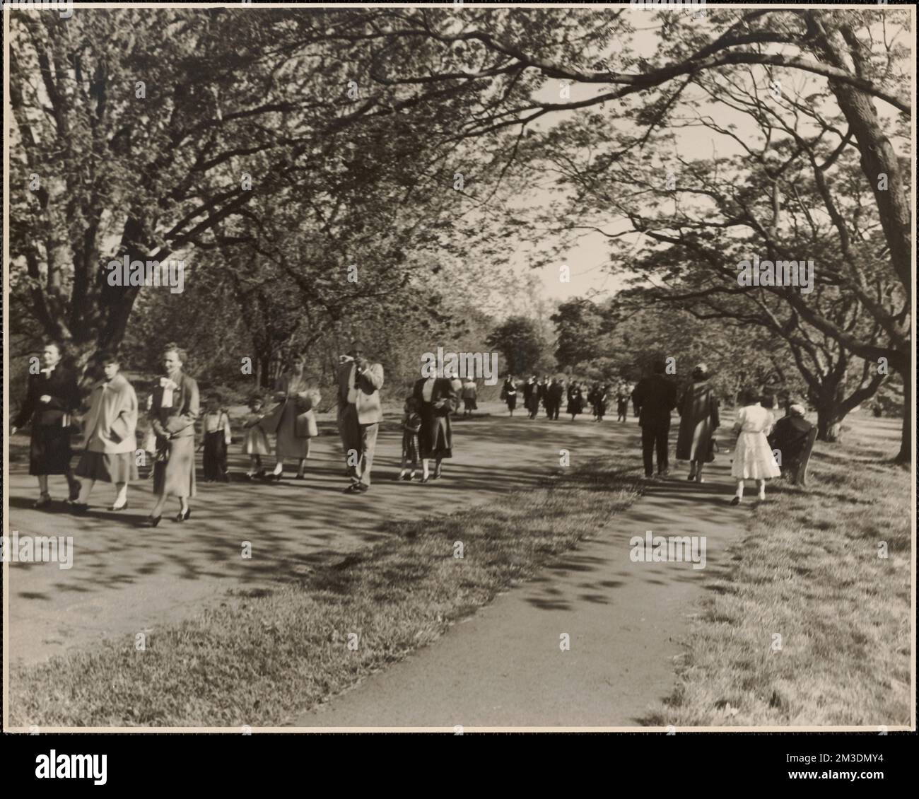 Kerop, Artemis and Jean Nahabedian. Levon and Agnes Mooradian at Arnold ...
