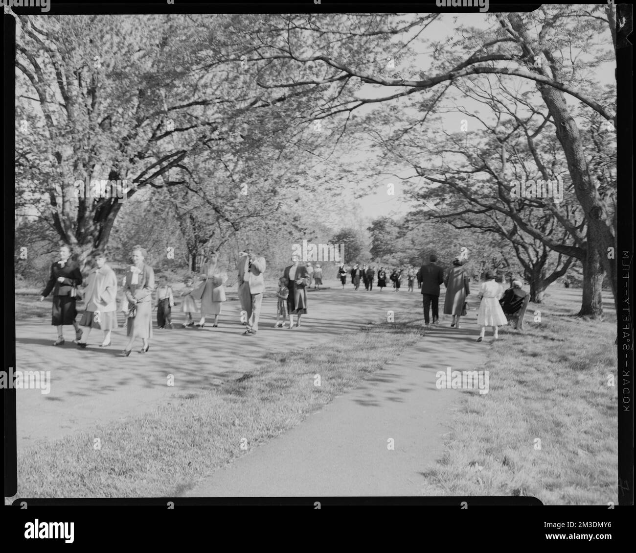 Kerop, Artemis and Jean Nahabedian. Levon and Agnes Mooradian at Arnold ...