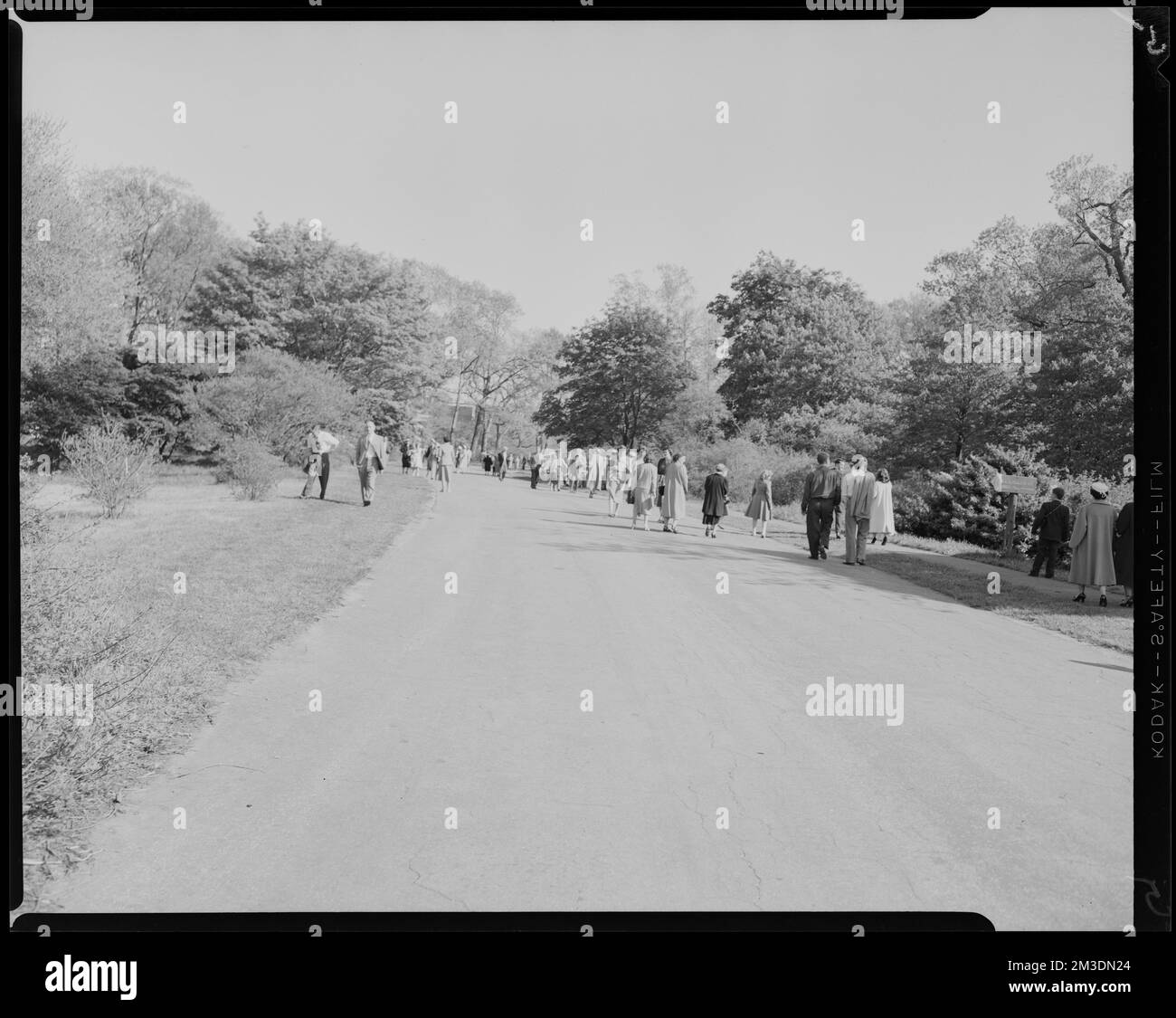 Kerop, Artemis and Jean Nahabedian. Levon and Agnes Mooradian at Arnold ...