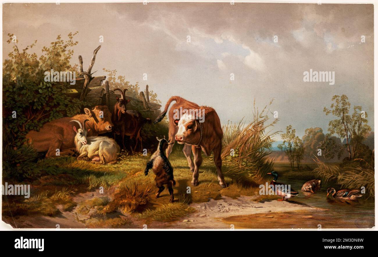 Kid's play-ground , Cattle, Goats, Ducks. Louis Prang & Company ...