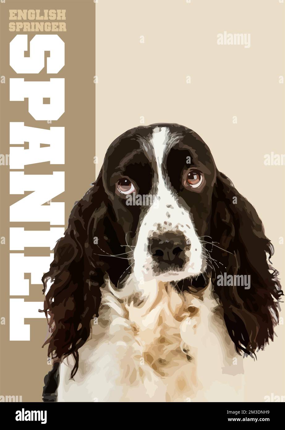 English Springer Spaniel poster. 3d color vector illustrtation Stock ...