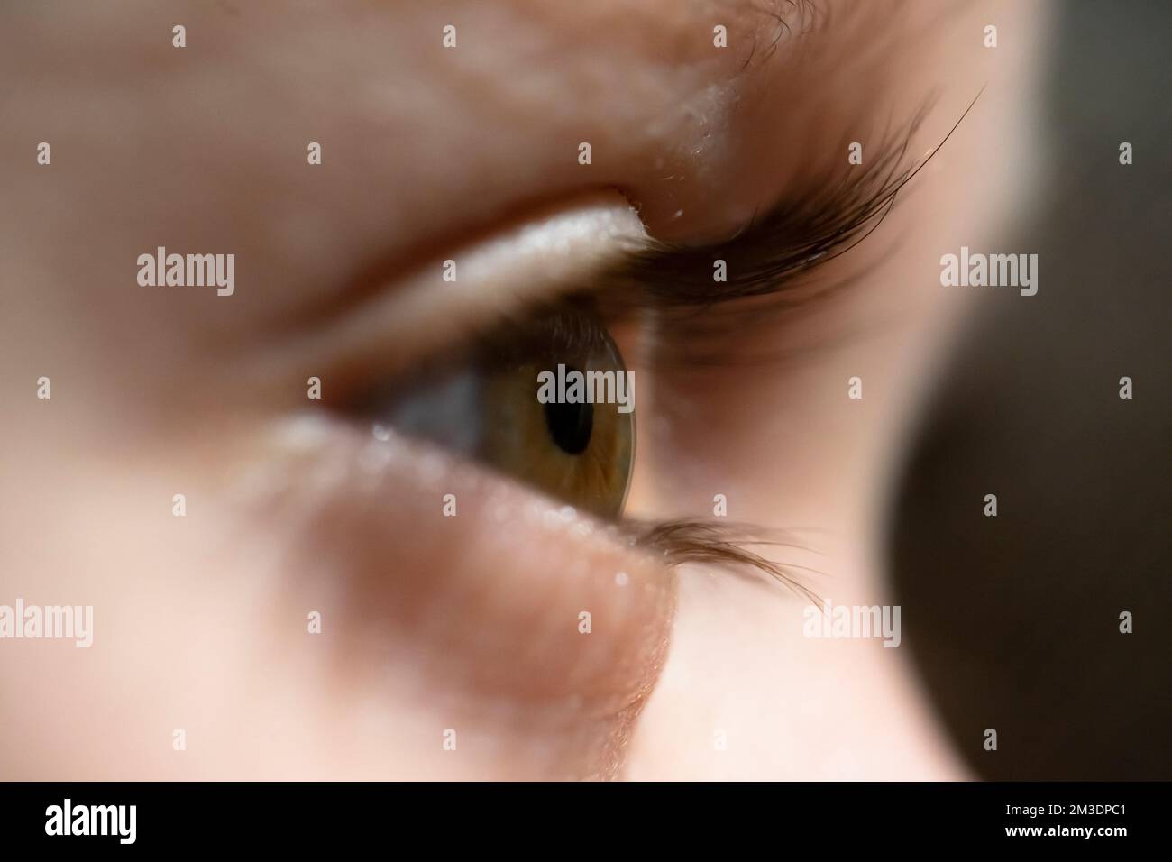 Boy eyes closeup hi-res stock photography and images - Alamy