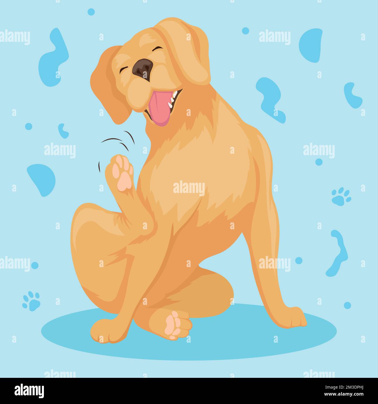 golden retriever dog mascot character Stock Vector Image & Art - Alamy