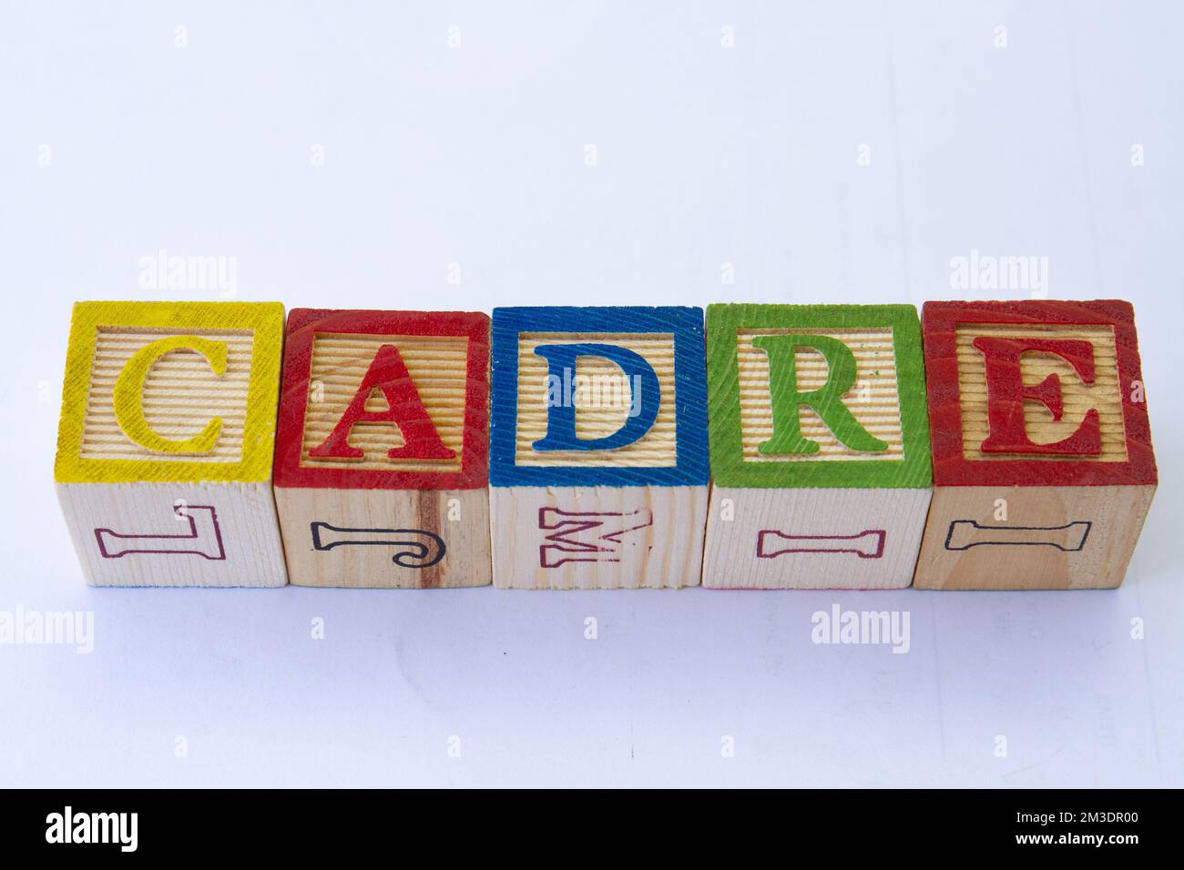 The term cadre visually displayed on a clear background with copy space ...