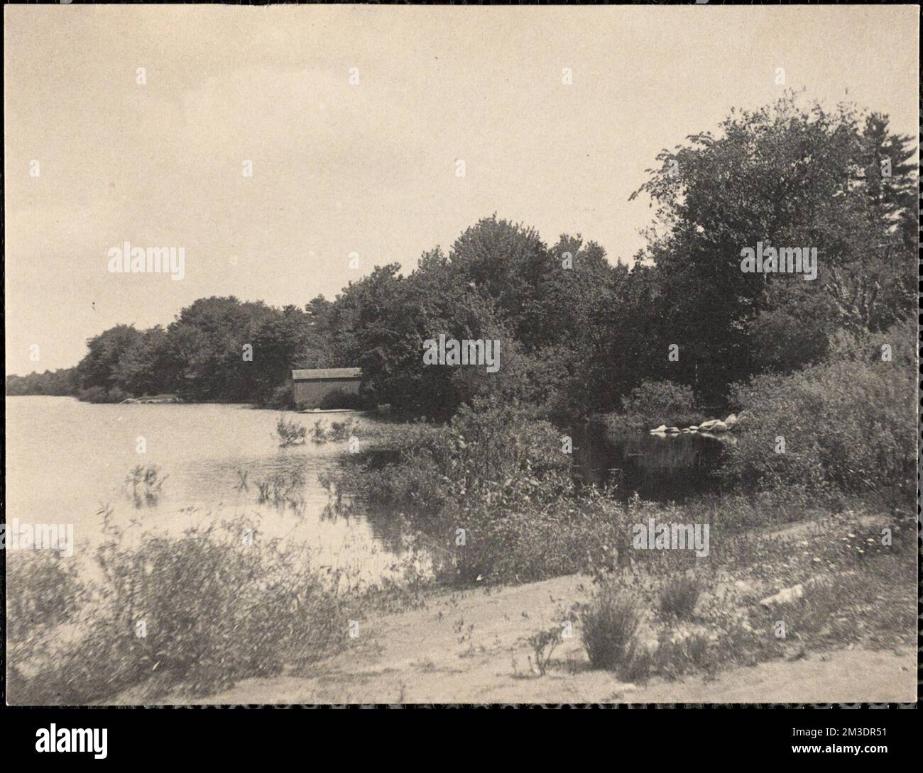 Lake Massapoag, Sharon MA , Lakes & ponds. Sharon Public Library Photo ...
