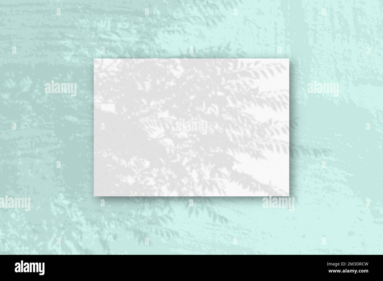 A horizontal A4 sheet of white textured paper on the blue wall ...