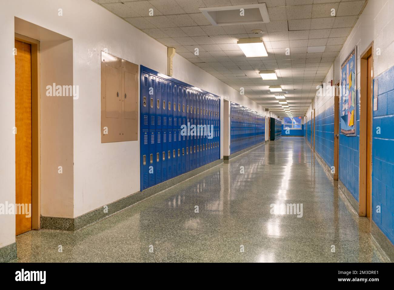 Typical, nondescript USA empty school hallway with blue metal lockers ...