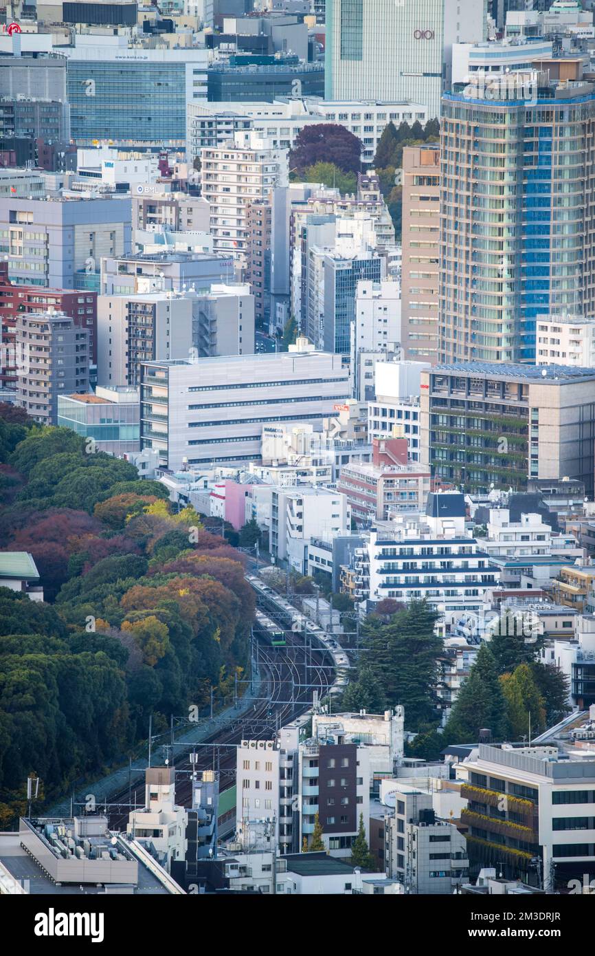 The Tokyo Metropolis as seen from Shibuya Sky Stock Photo - Alamy