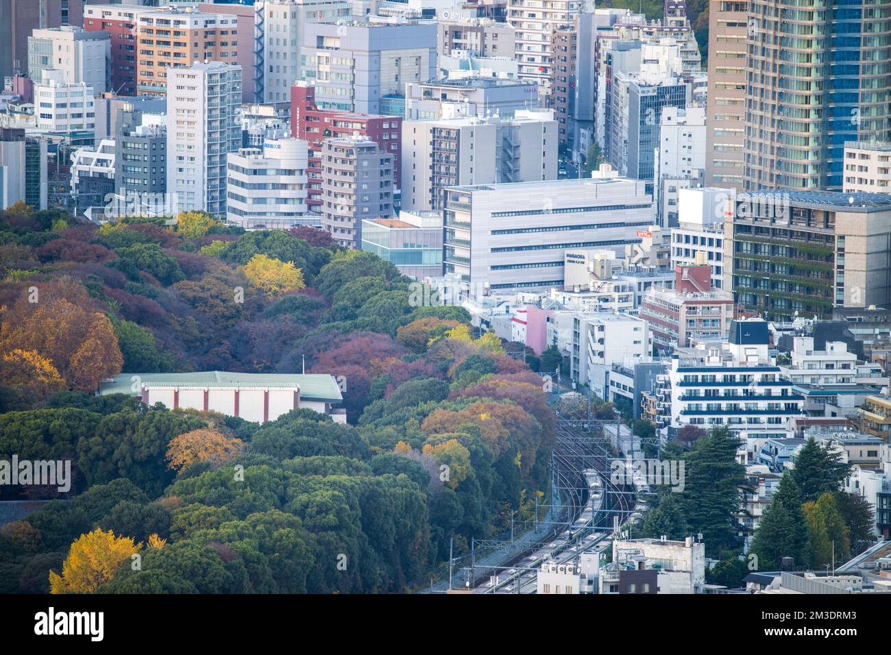 The Tokyo Metropolis as seen from Shibuya Sky Stock Photo - Alamy