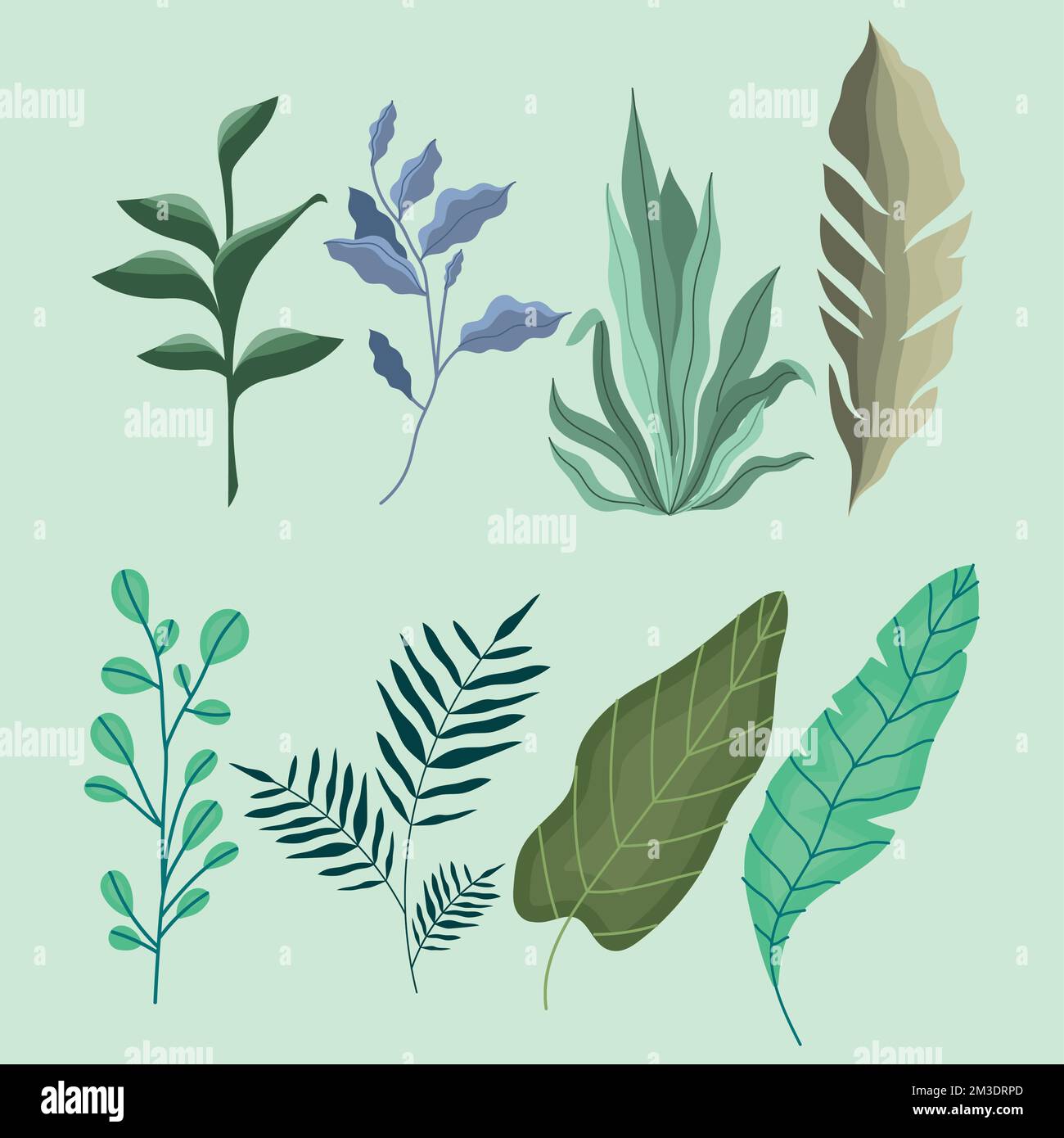 eight plants garden nature icons icons Stock Vector Image & Art - Alamy