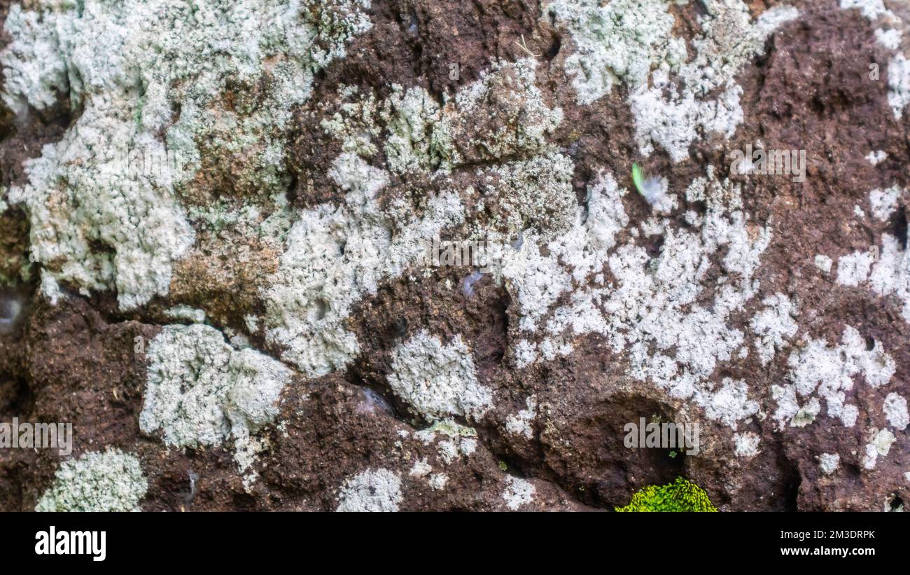 amazing stone texture as background Stock Photo - Alamy