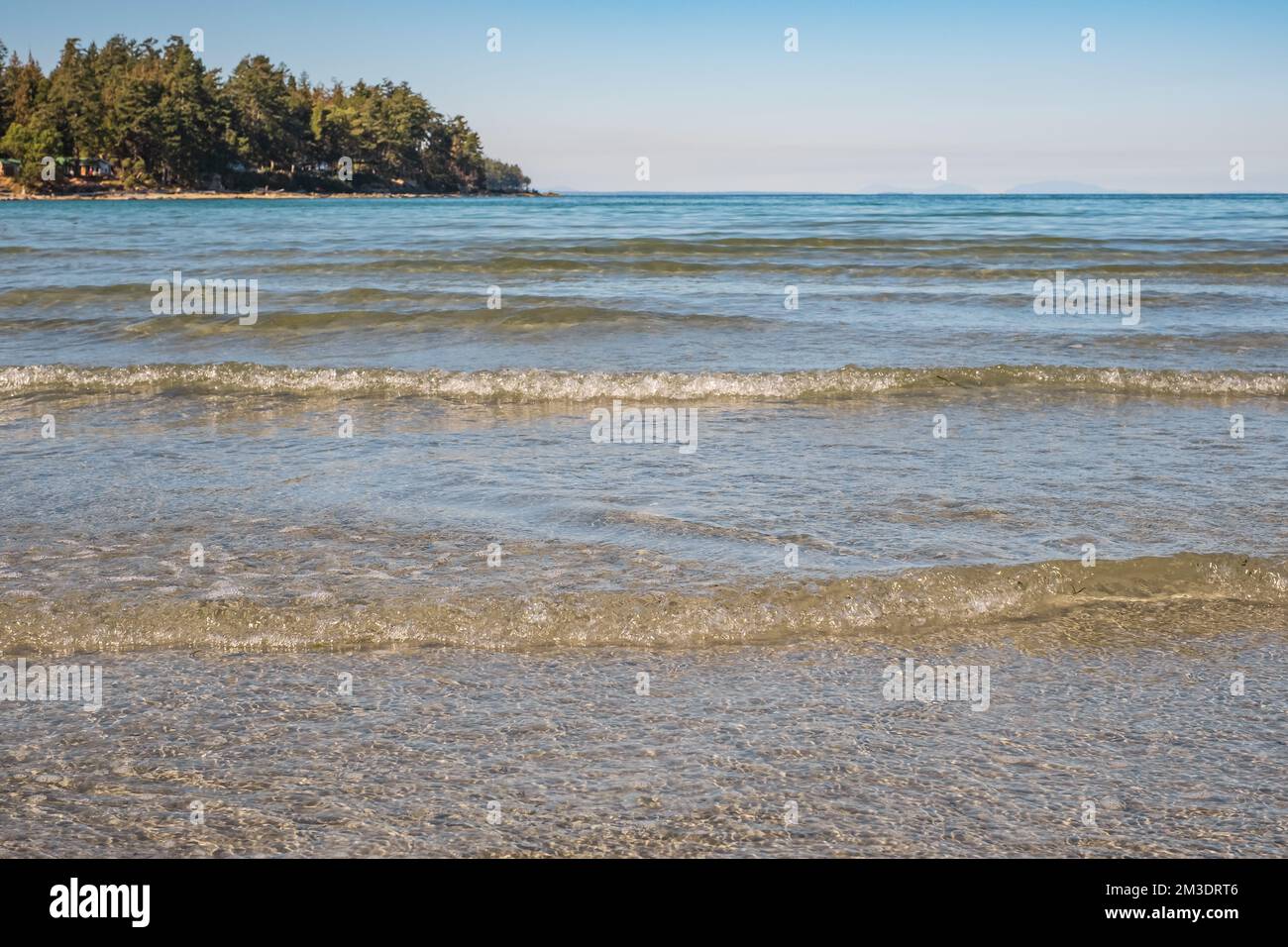 Beautiful island with sand and trees at the ocean. Beach sand and ocean ...