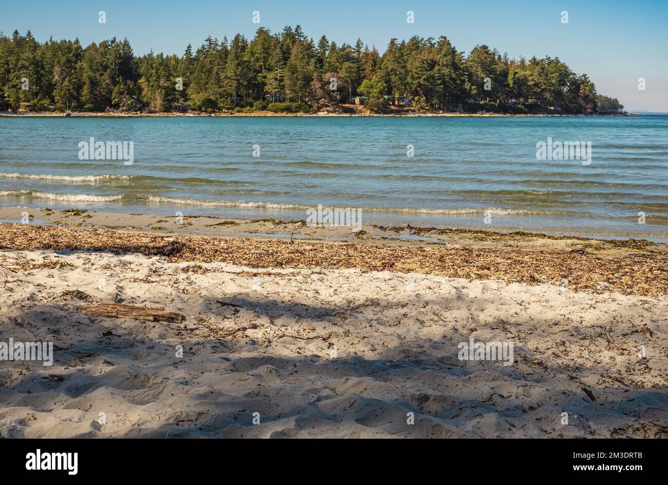 Beautiful island with sand and trees at the ocean. Beach sand and ocean ...