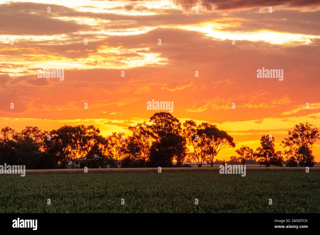 Western downs queensland hi-res stock photography and images - Alamy