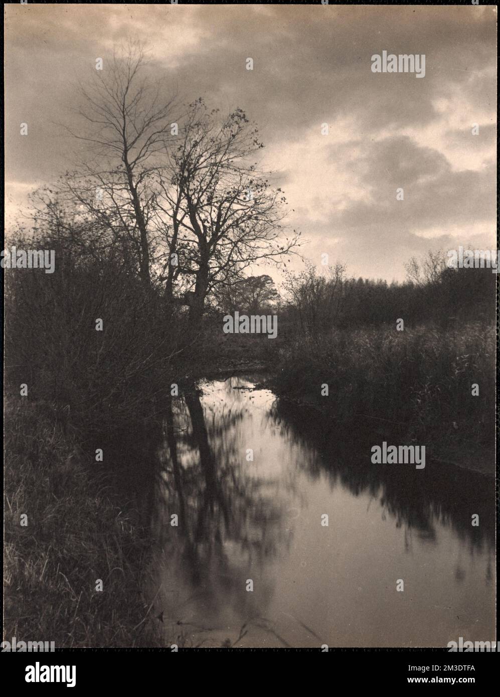 Landham Brook at sunset , Trees, Rivers, Sunrises & sunsets. Wayland ...