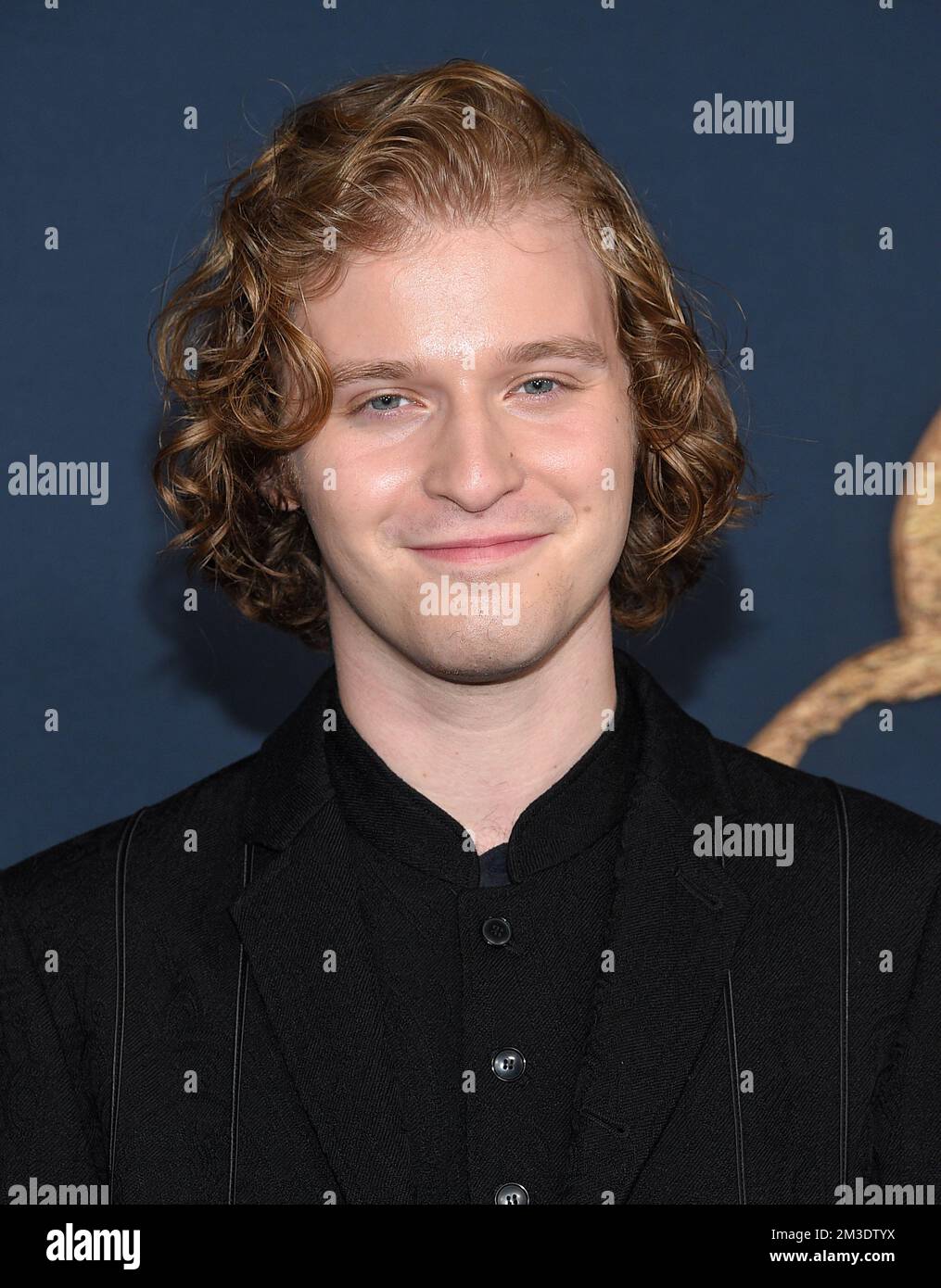 Los Angeles, USA. 14th Dec, 2022. Fred Hechinger arriving to Netflix’s ...