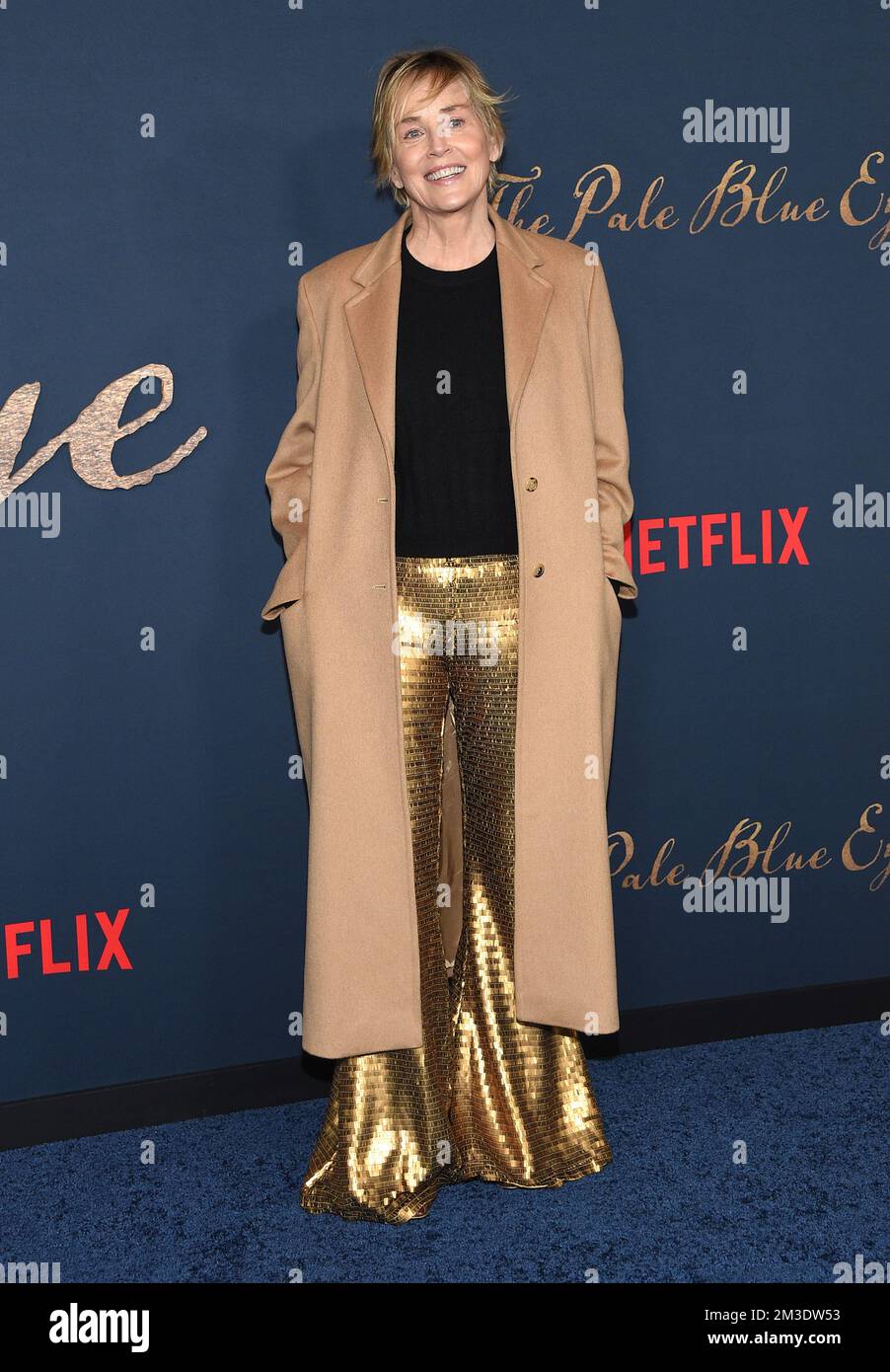 Los Angeles, USA. 14th Dec, 2022. Sharon Stone arriving to Netflix’s ...