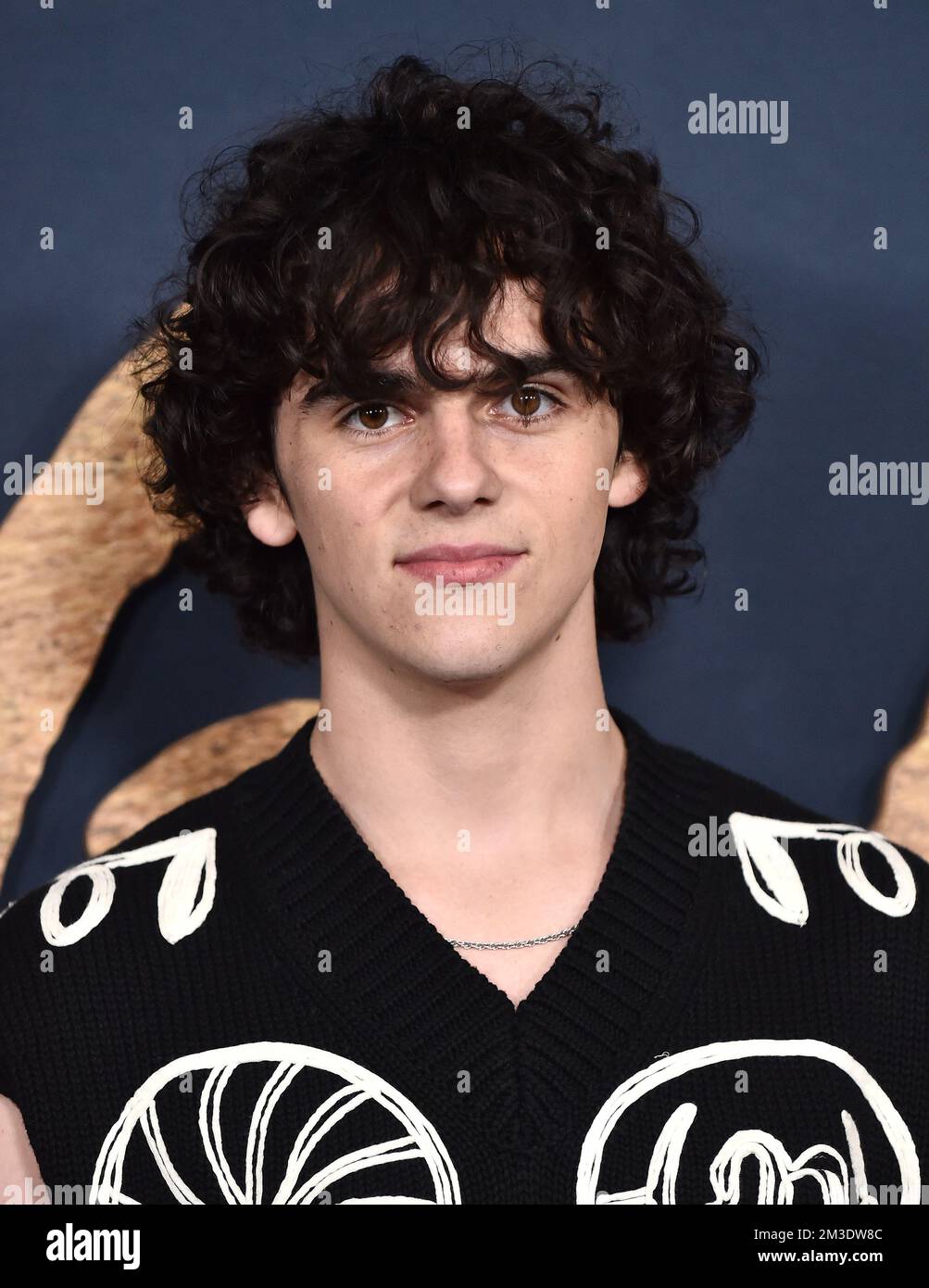 Los Angeles, USA. 14th Dec, 2022. Jack Dylan Grazer arriving to Netflix ...