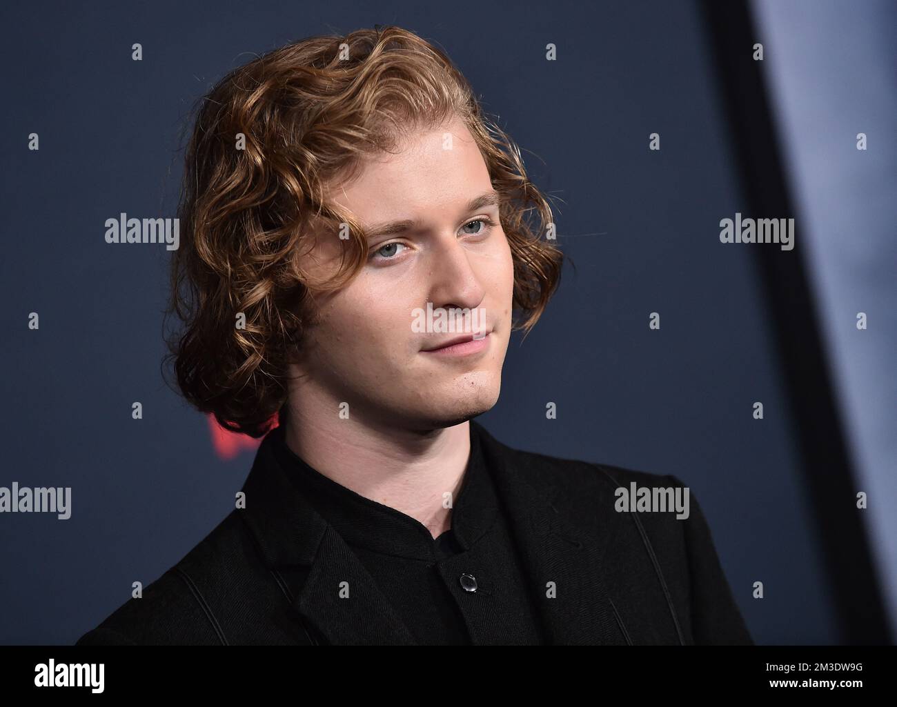 Los Angeles, USA. 14th Dec, 2022. Fred Hechinger arriving to Netflix’s ...