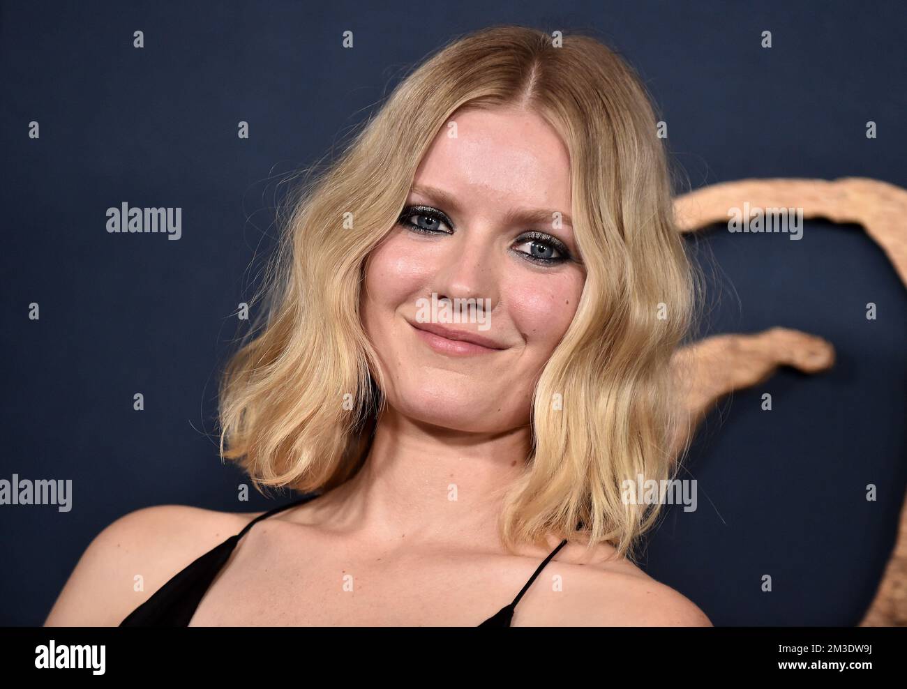 Los Angeles, USA. 14th Dec, 2022. Hadley Robinson arriving to Netflix’s ...