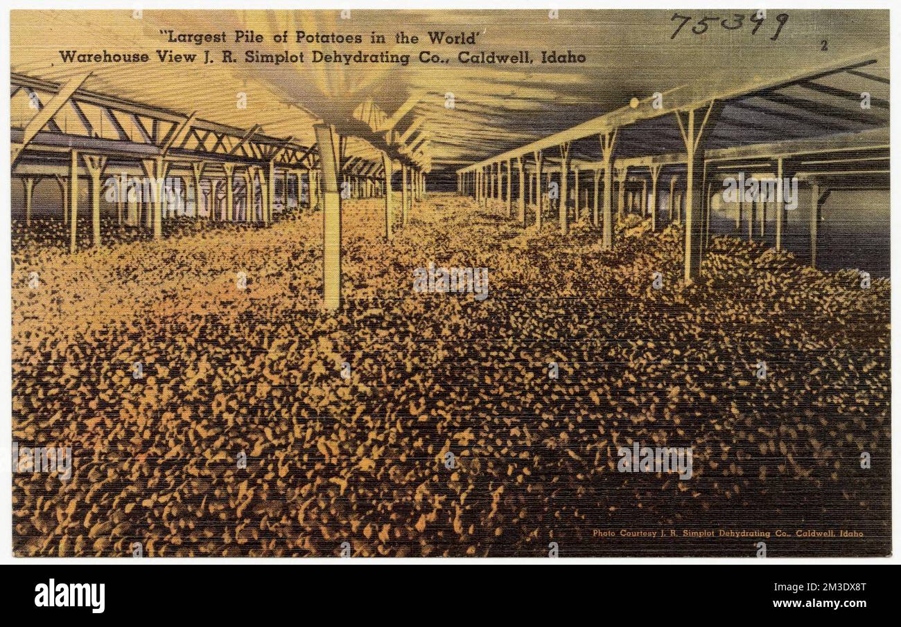 'Largest pile of potatoes in the world,' warehouse view J.R. Simplot ...