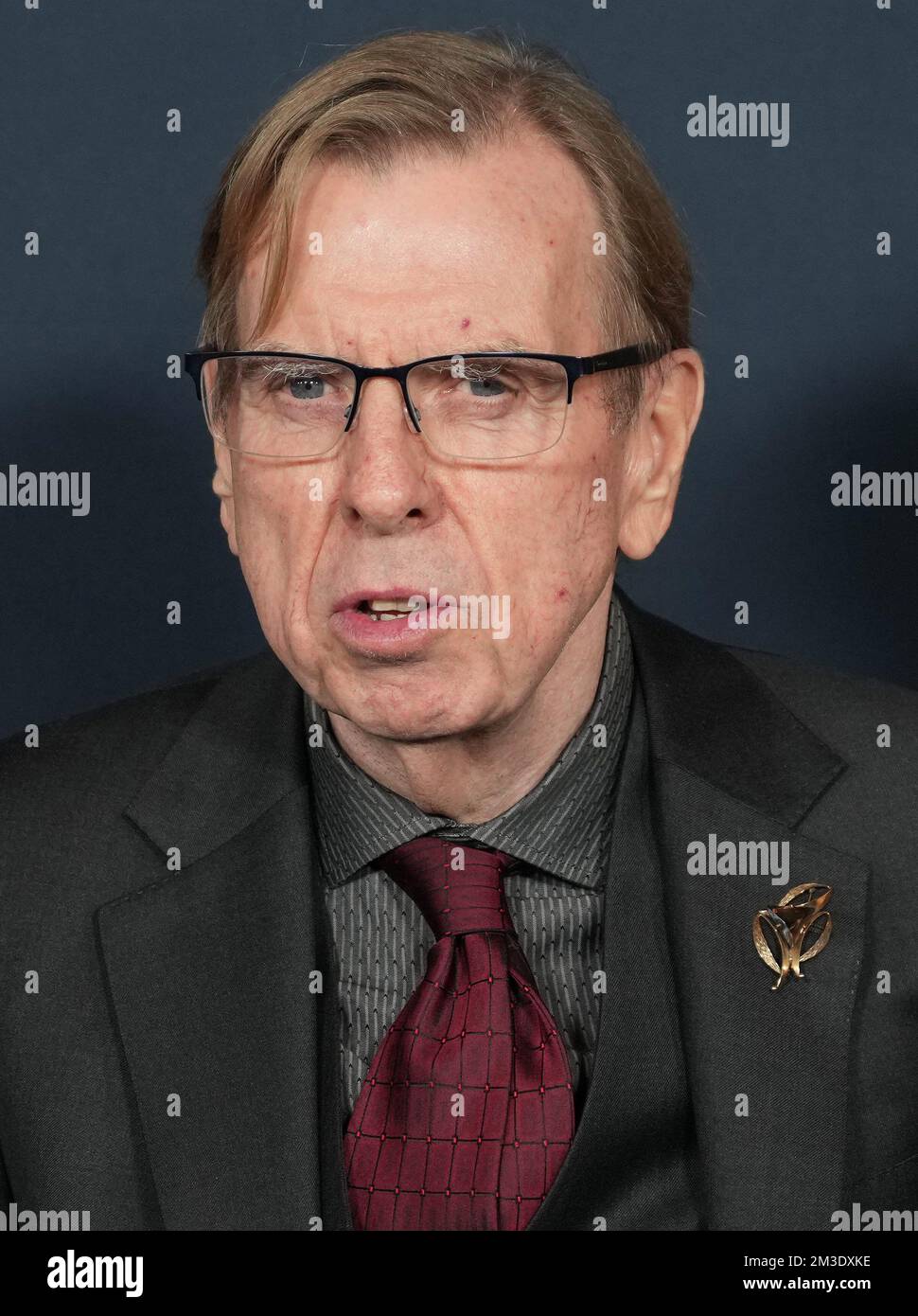 Timothy Spall arrives at THE PALE BLUE EYE Los Angeles Premiere held at ...