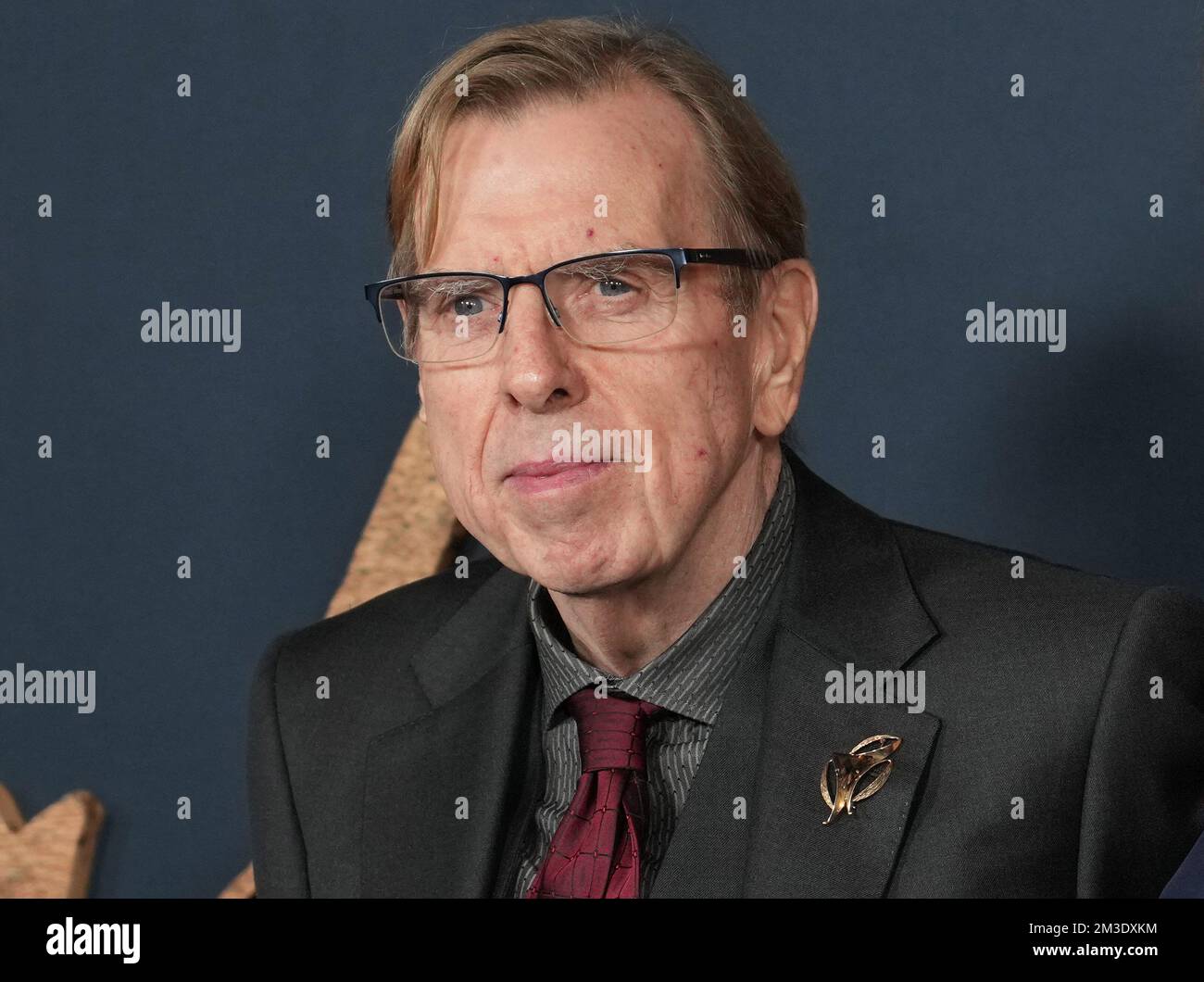 Los Angeles, USA. 14th Dec, 2022. Timothy Spall arrives at THE PALE ...