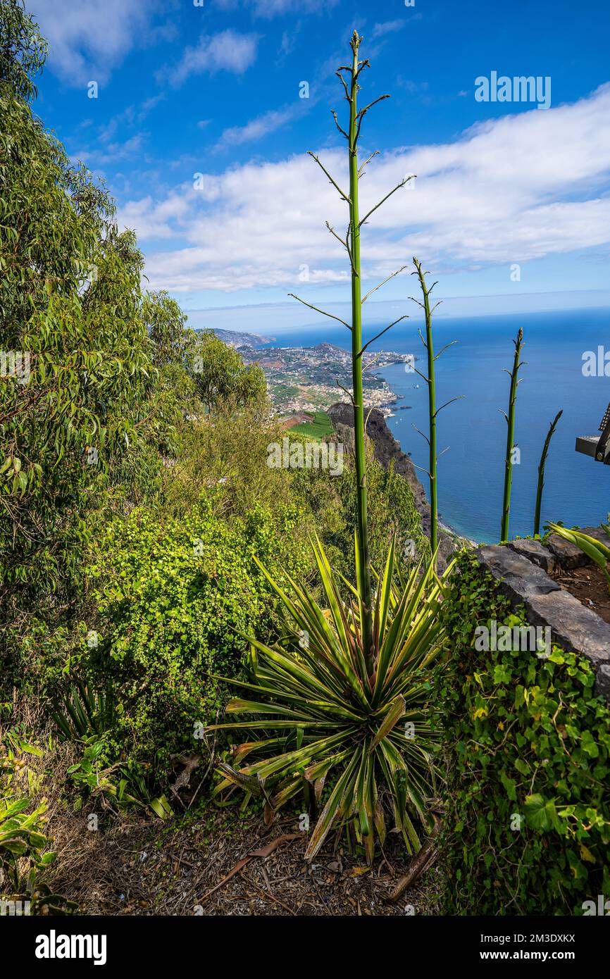 Cabo Girao Lookout on the island of Madeira - a view with a spectacular ...