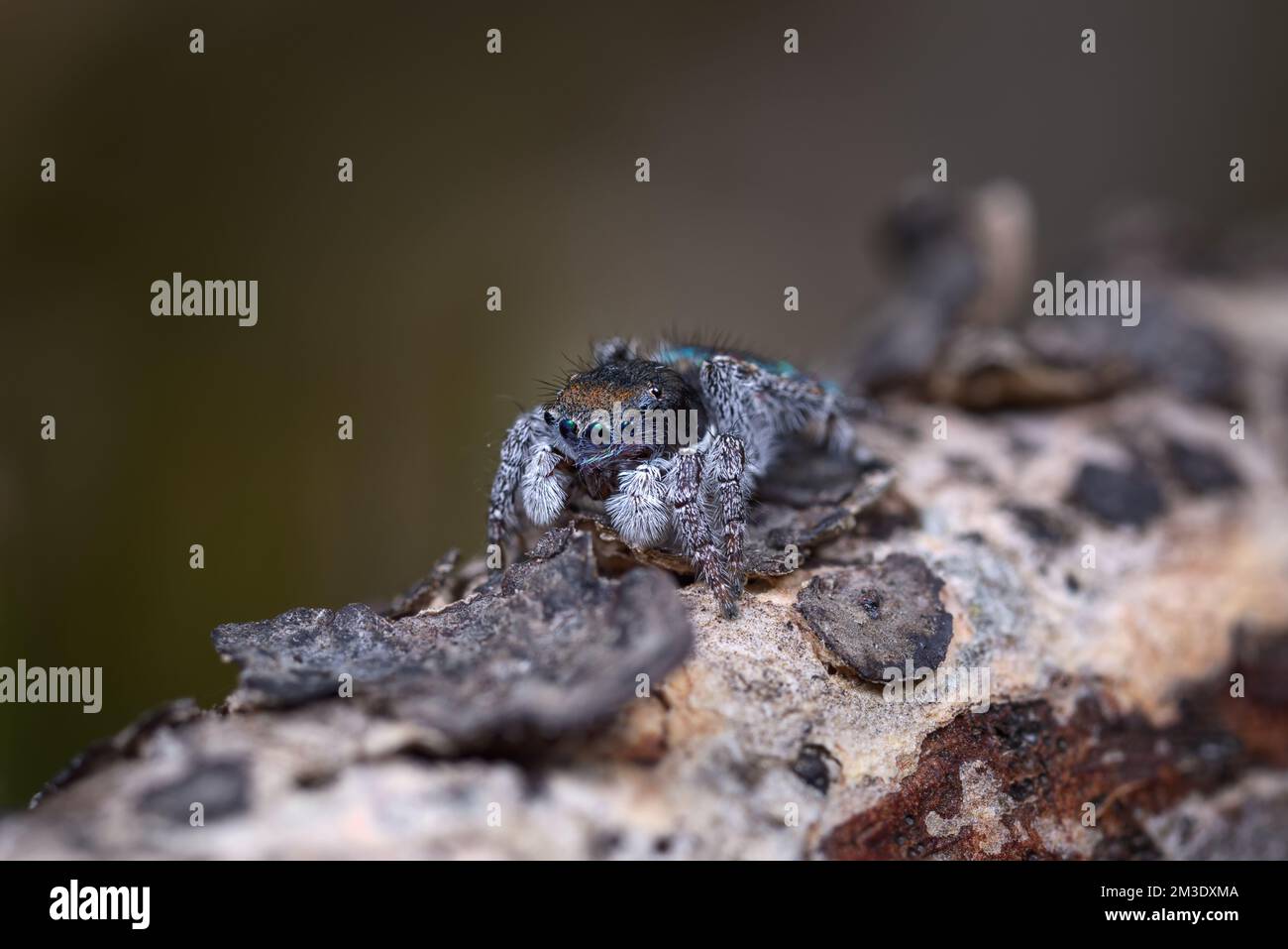 Sarahae hi-res stock photography and images - Alamy