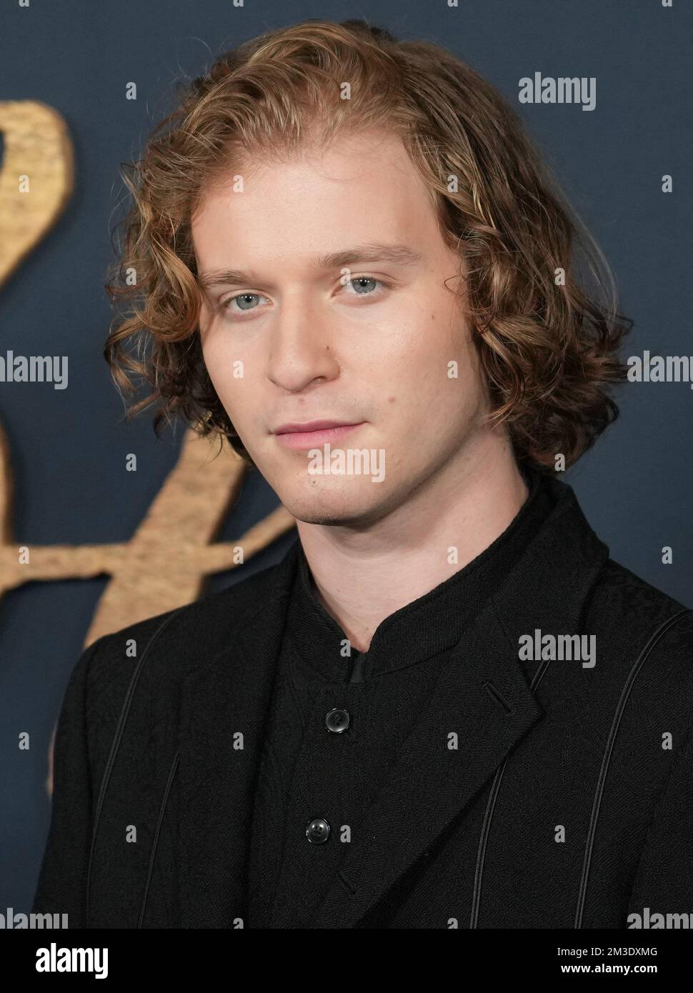 Los Angeles, USA. 14th Dec, 2022. Fred Hechinger arrives at THE PALE ...