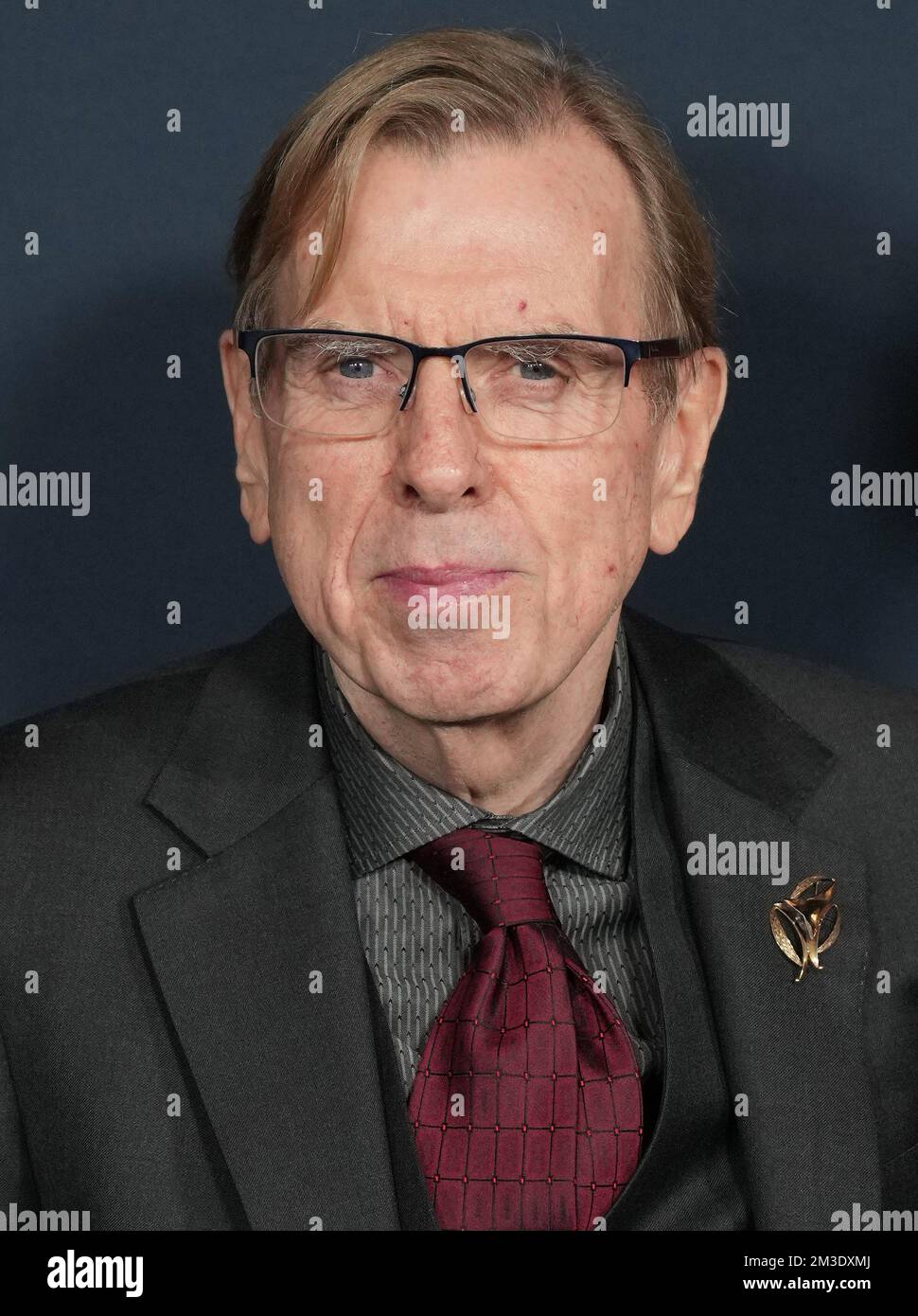 Los Angeles, USA. 14th Dec, 2022. Timothy Spall arrives at THE PALE ...