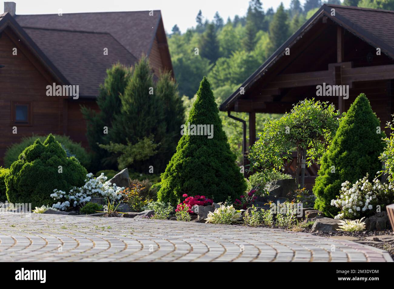 Modern unique landscape design. Blooming rhododendron bushes against ...