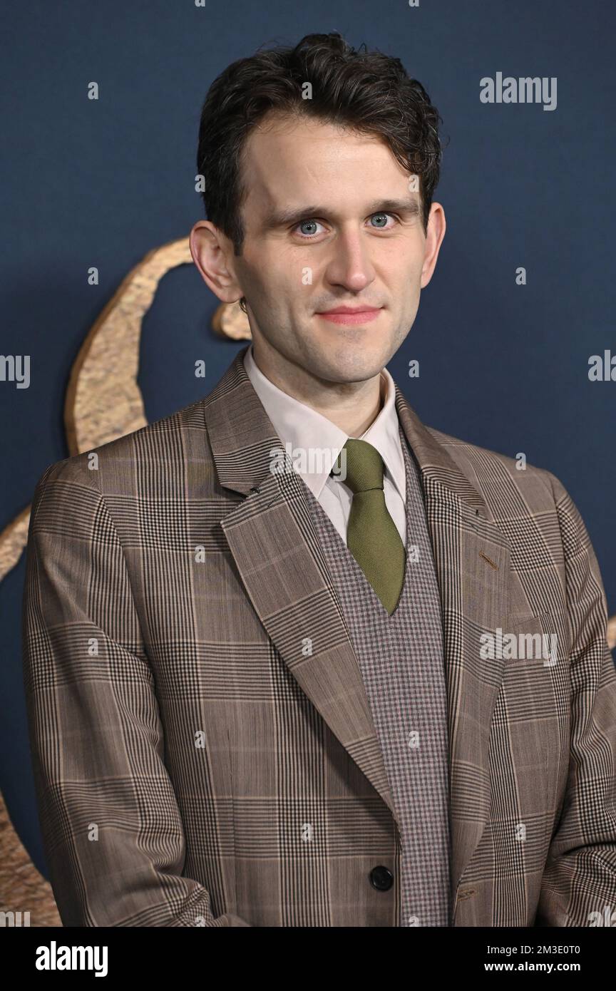 Los Angeles, USA. 14th Dec, 2022. Harry Melling at the premiere for ...