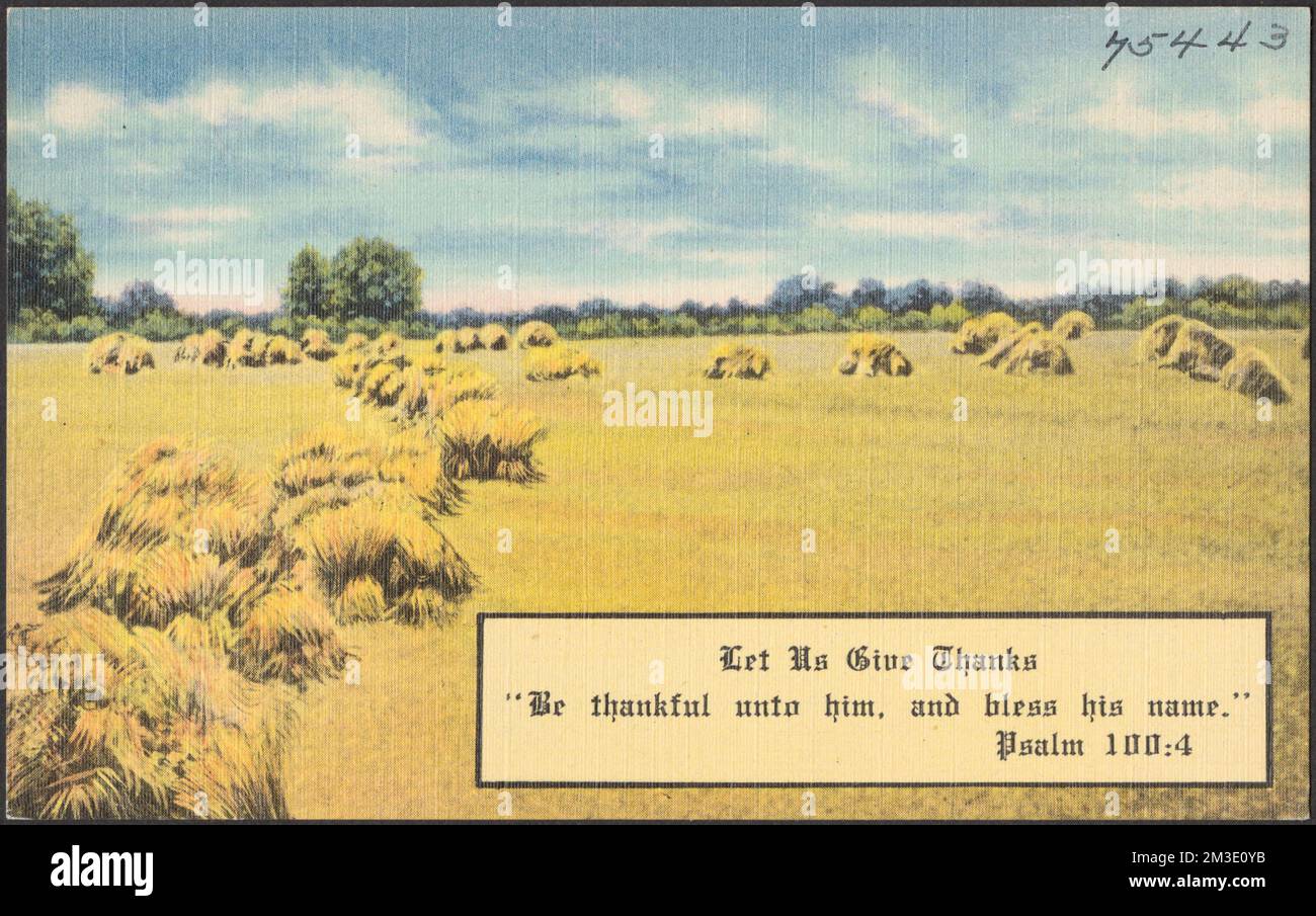 Let us give thanks. 'Be thankful unto him, and bless his name.' Psalm ...