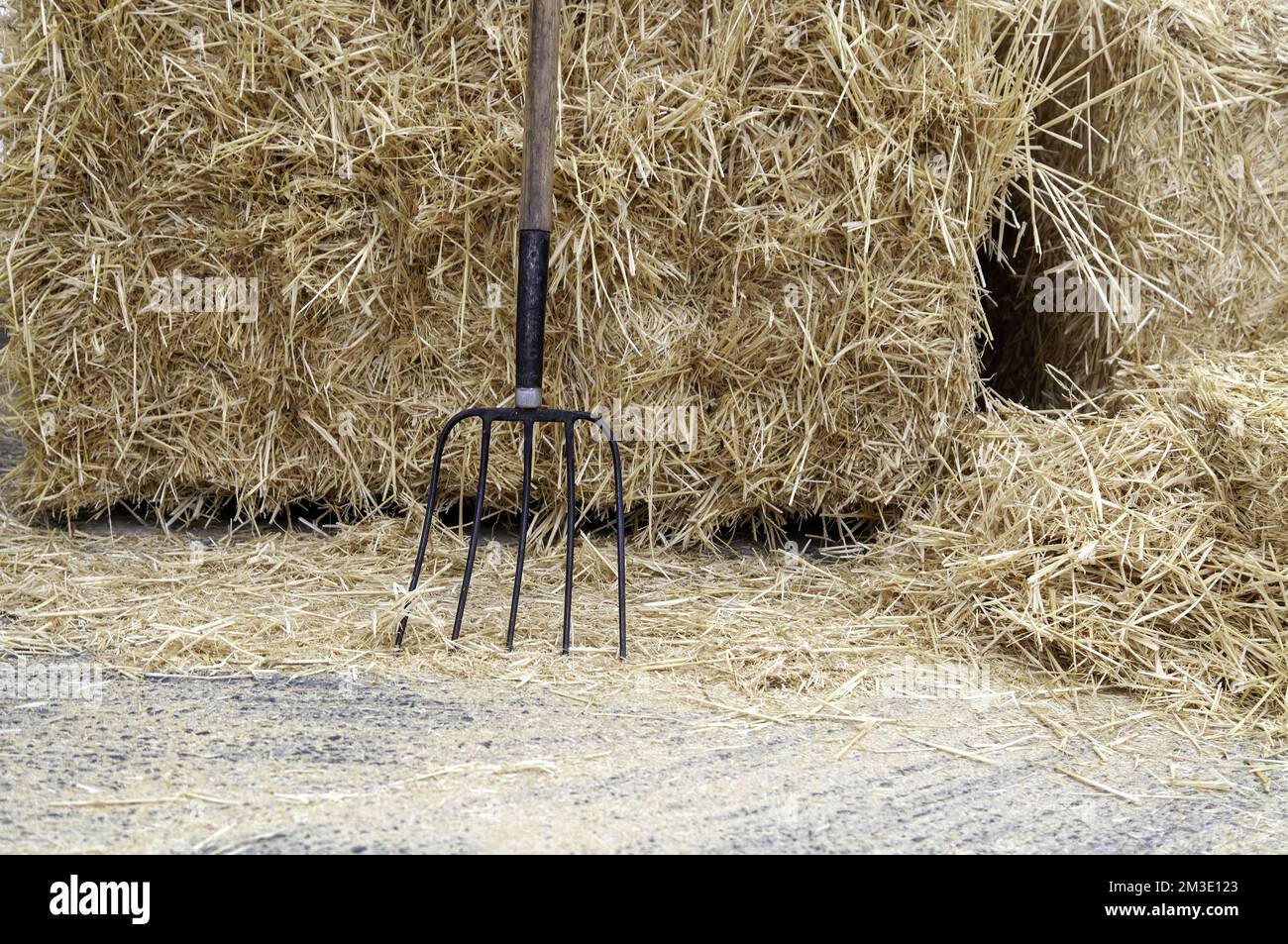 Detail of tool to work straw, animal feed Stock Photo - Alamy