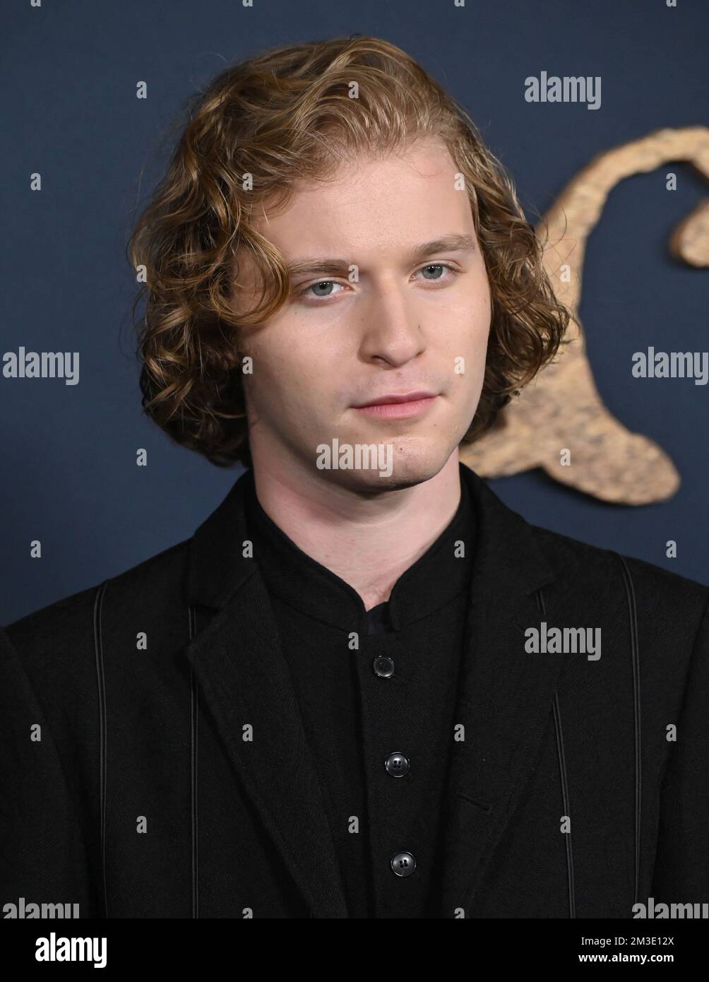 Los Angeles, USA. 14th Dec, 2022. Fred Hechinger at the premiere for ...