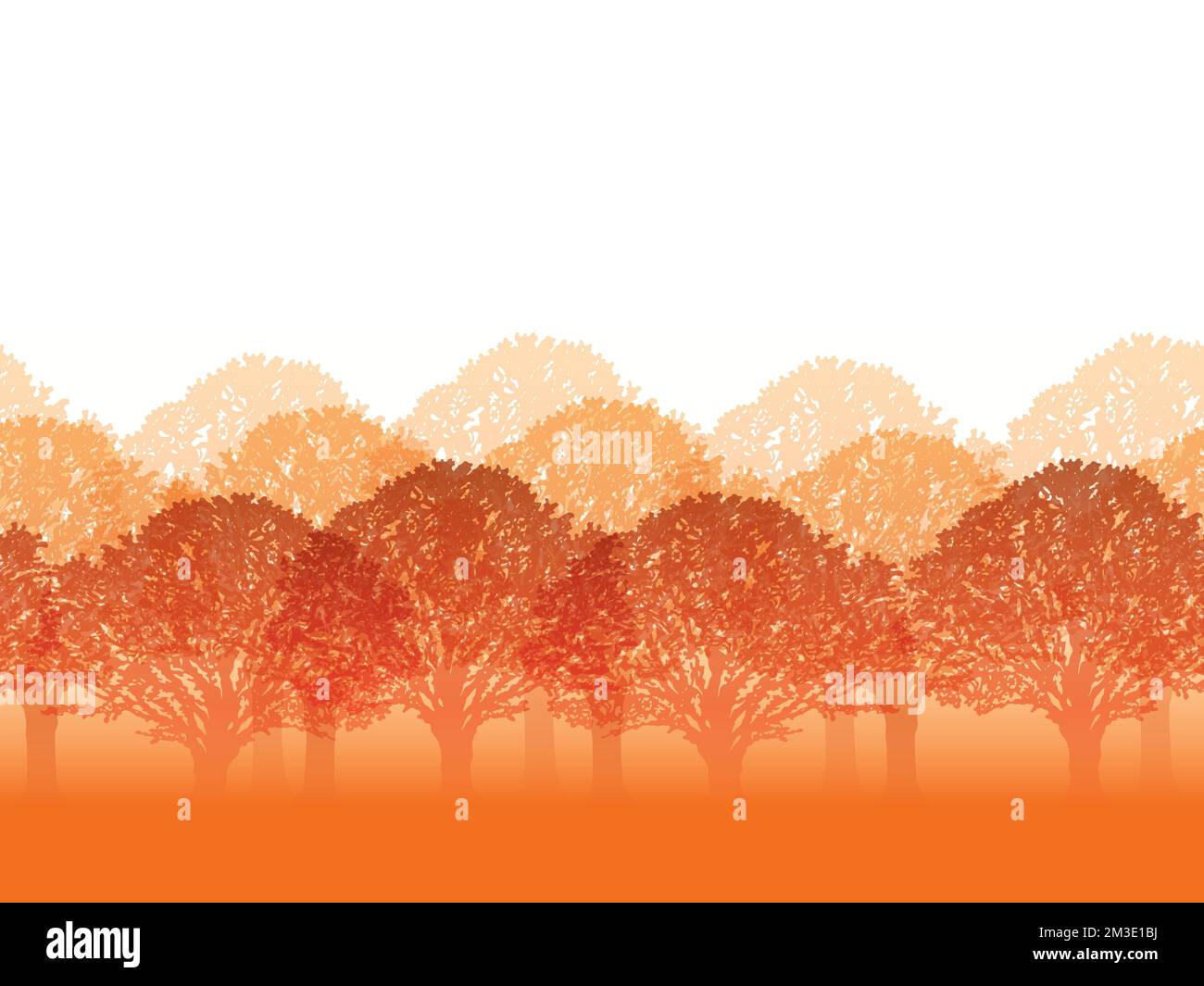 Vector seamless forest in autumn colors with text space on a white ...