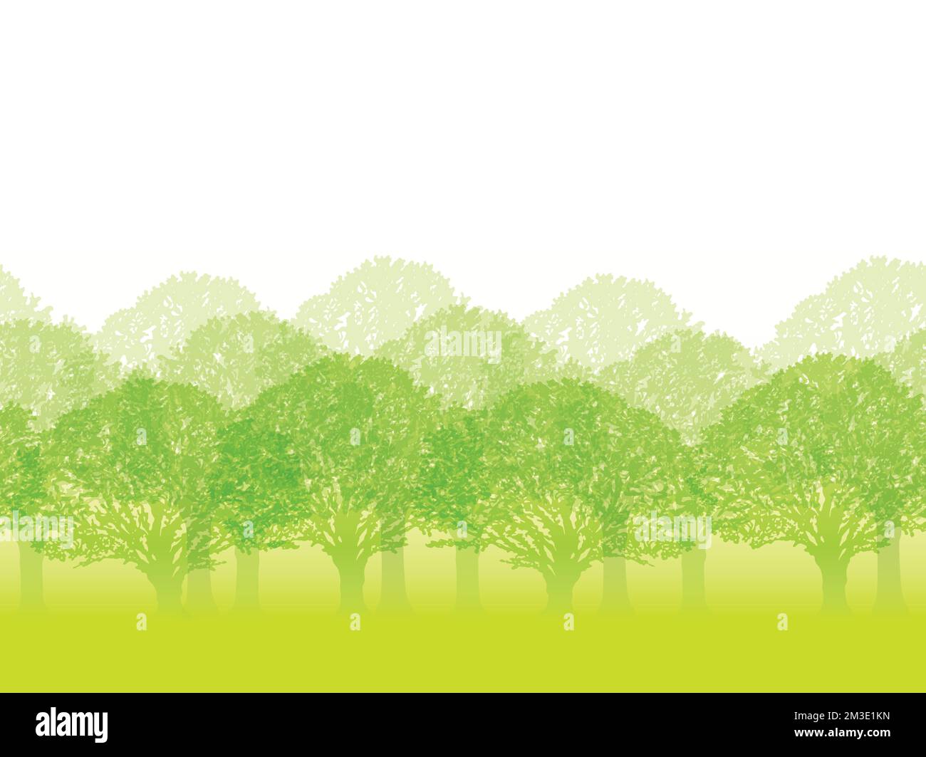 Vector seamless forest illustration in spring colors with text space ...