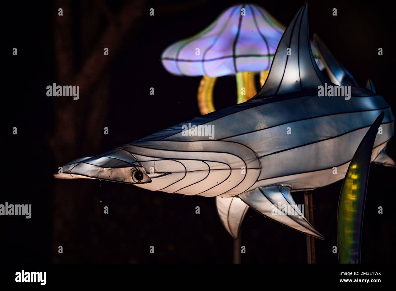 An illuminated fish in park Stock Photo - Alamy