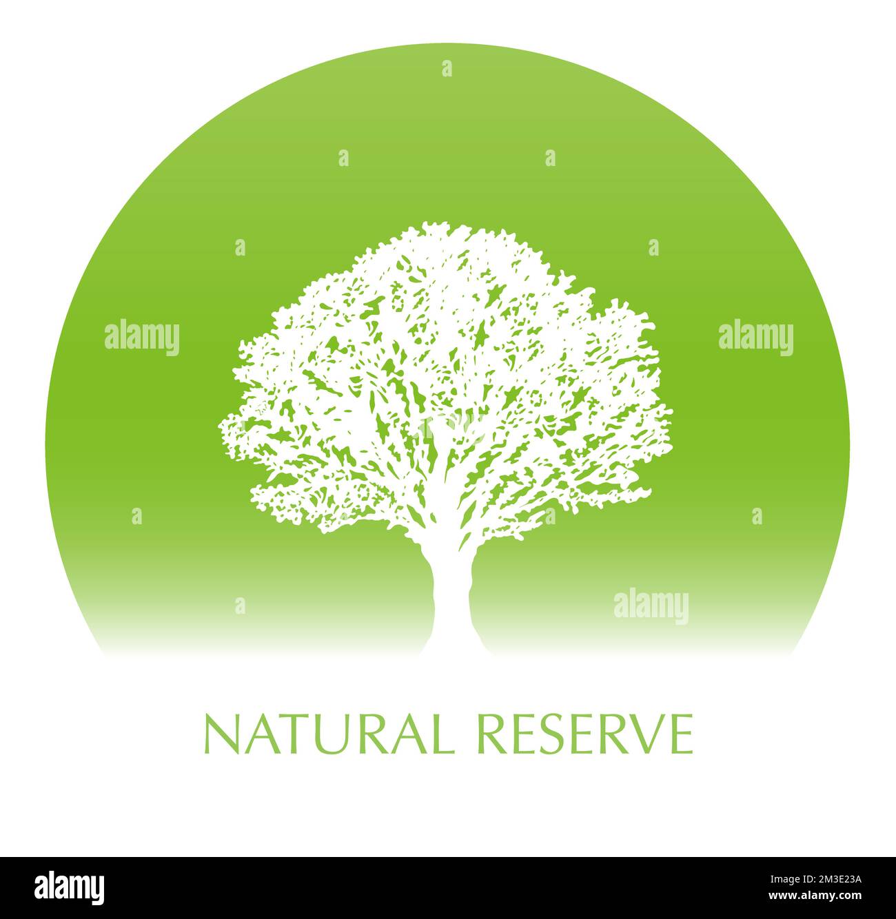 Vector seamless forest illustration in spring colors with text space ...