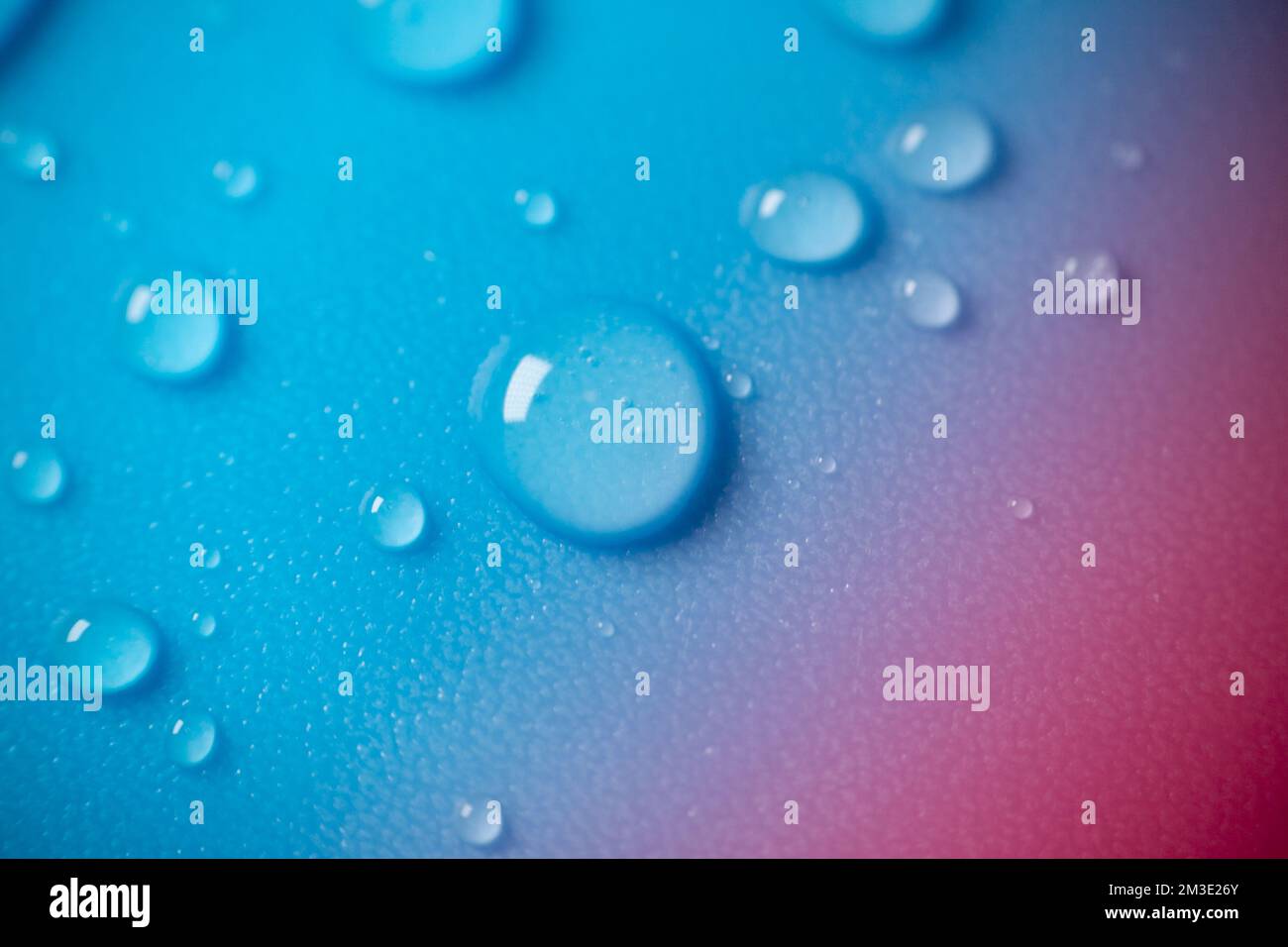 water drops on a blue background with a pink gradient.Fluid texture in ...