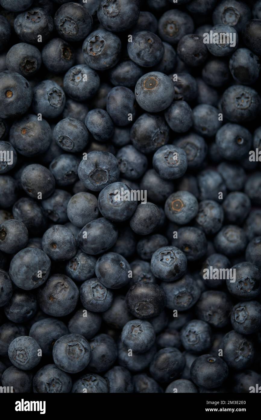 closeup of fresh blueberries on the top angle high detailed texture of ...