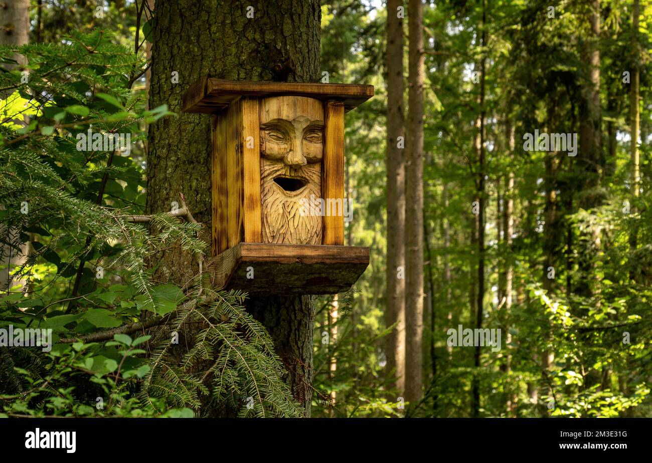 Nest box on a tree trunk in the forest, designed with a carved face ...