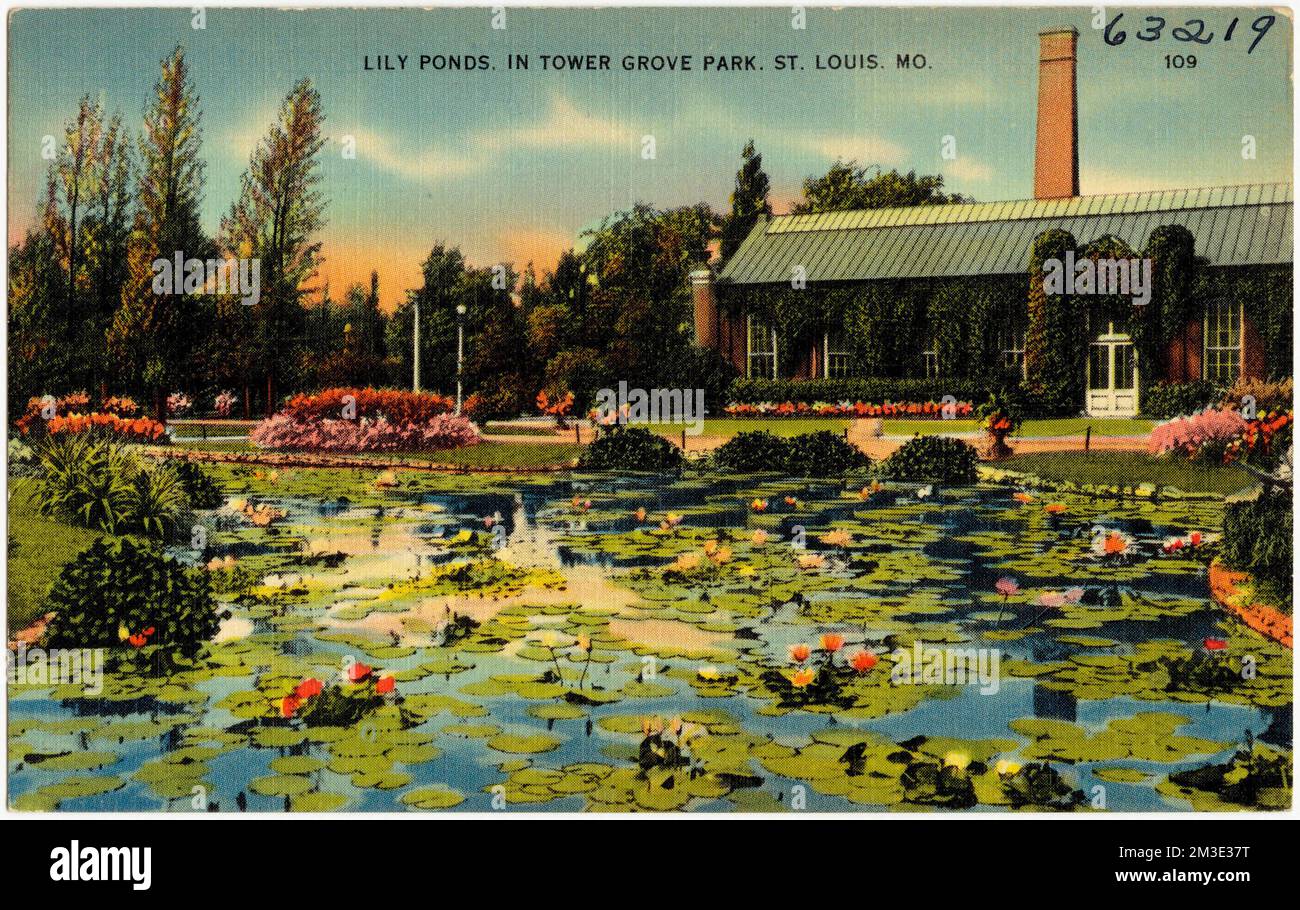 Lily ponds. In Tower Grove Park. St. Louis, Mo. , Lakes & ponds, Parks ...