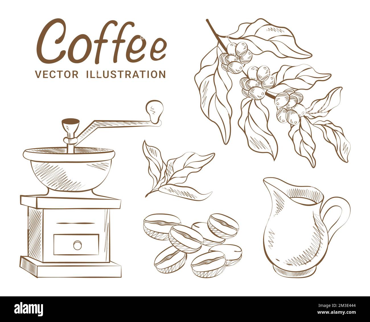 Set of vector drawings of coffee teapot coffee tree coffee grinder jug ...
