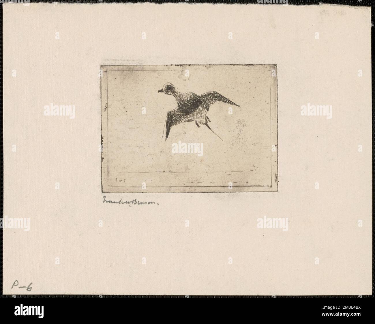 Little old squaw , Ducks, Flying, Long-tailed duck. Frank W. Benson ...