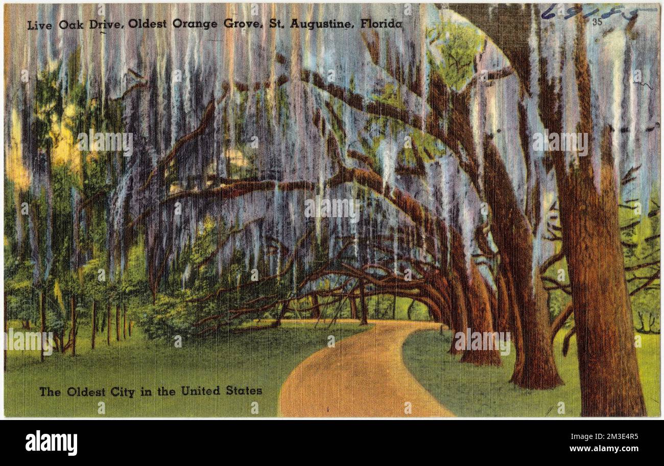 Oak grove st hi-res stock photography and images - Alamy