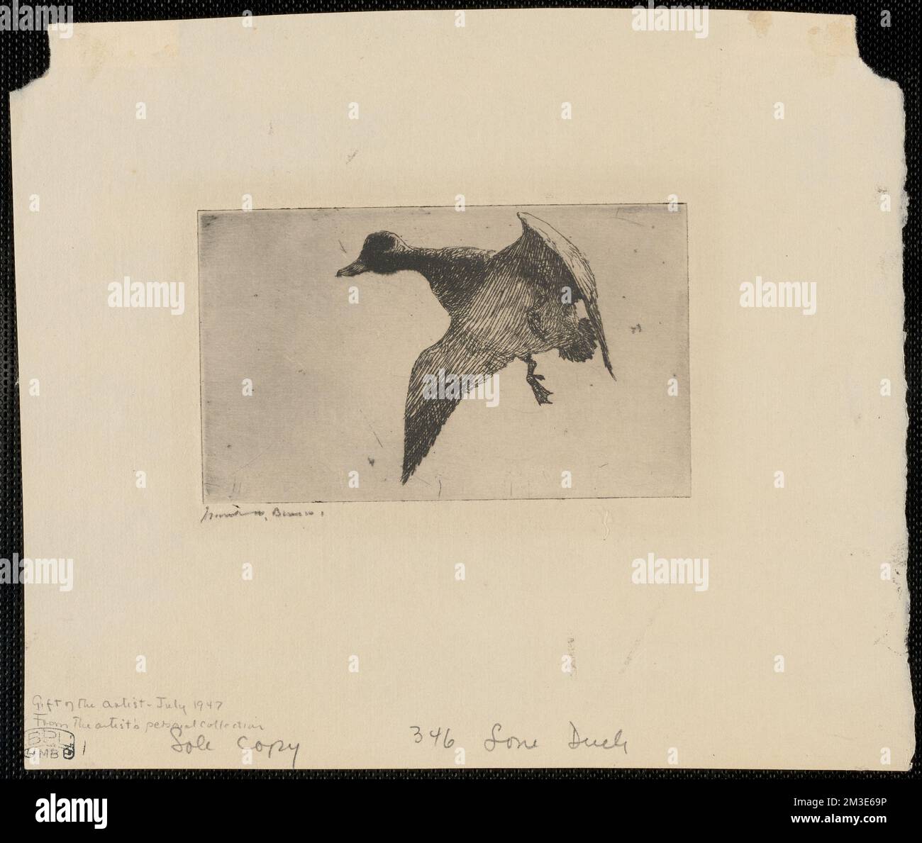 Lone duck , Ducks, Flying, Canvasback. Frank W. Benson (1862-1951 ...