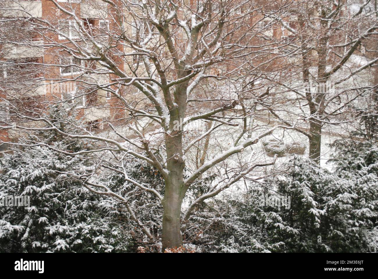 Kastrup/Copenhagen /Denmmark/14 December 2022/Snow fall in Kastrup ...