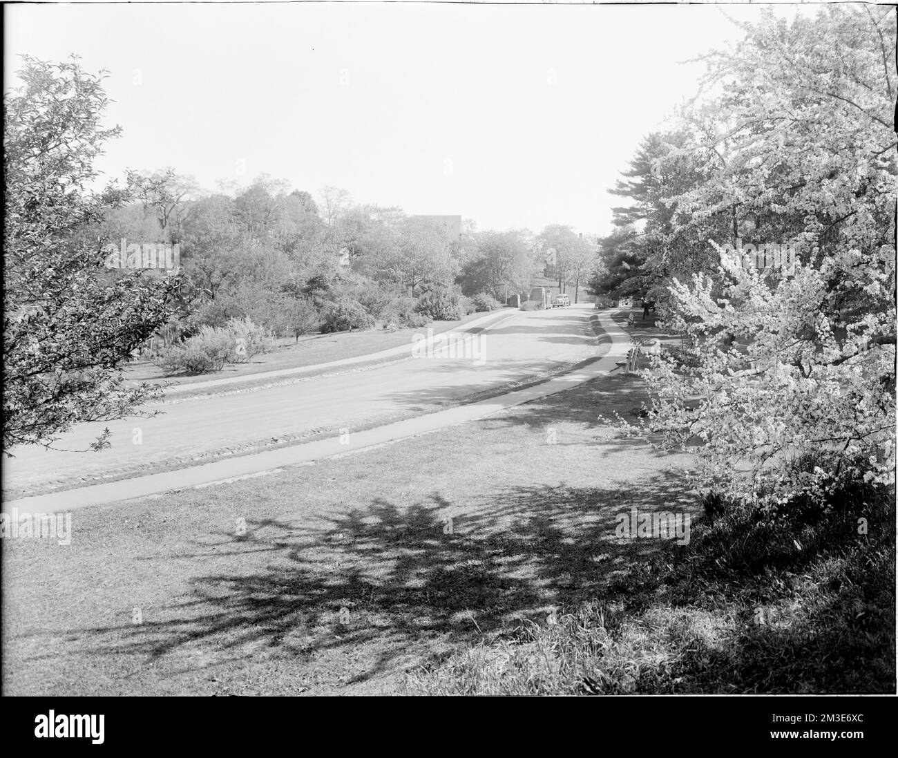 Looking at the Forest Hills Gate from inside the Arnold Arboretum ...